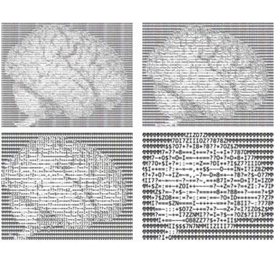 Molecules, Neuronal Circuits and Behavior | Department of Psychology
